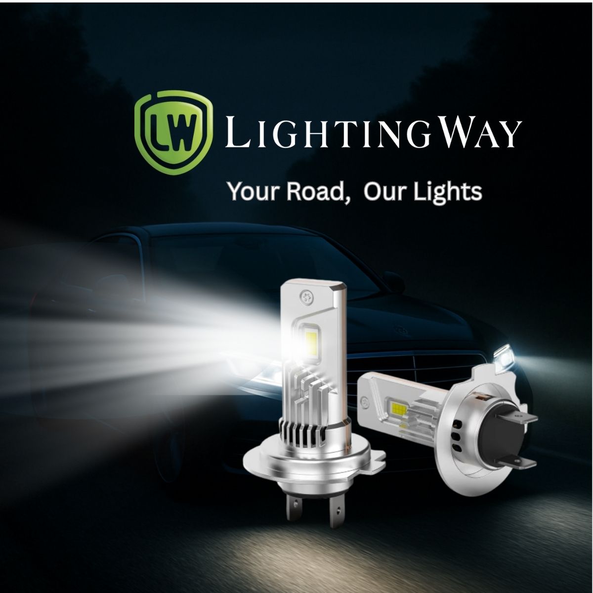 D-Series LED Headlight Conversion Kits | D1, D2, D3, D4, D5, D8 LED ...